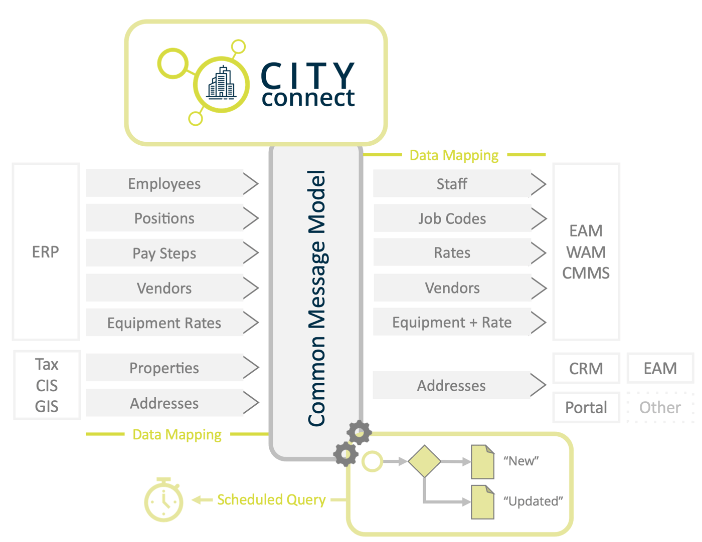 Automation: Master Data | Spatial DNA